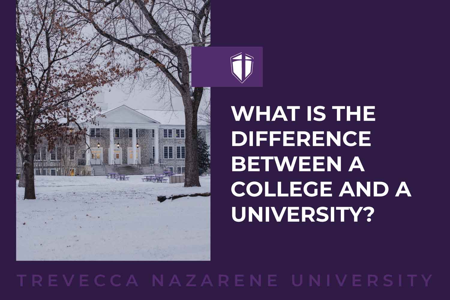 What Is the Difference Between a College and a University?